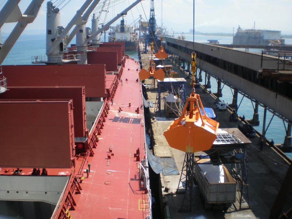 Discharging Survey Bulk Cargo | Surveyor Samudra